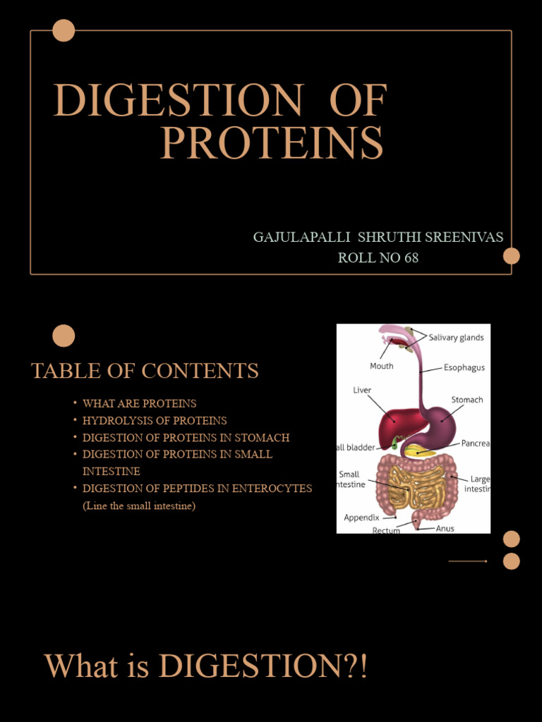 Digestion of Proteins - 20240118 - 205954 - 0000 | PDF | Digestion ...