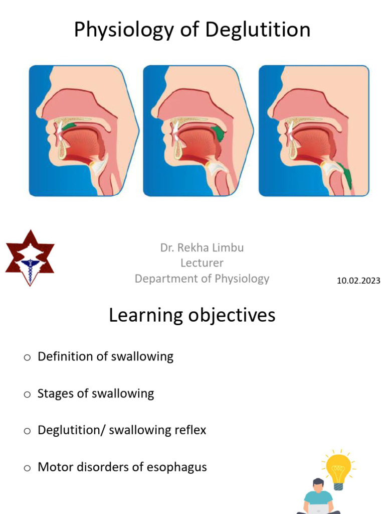 Physiology of Deglutition (1) | PDF | Esophagus | Human Anatomy