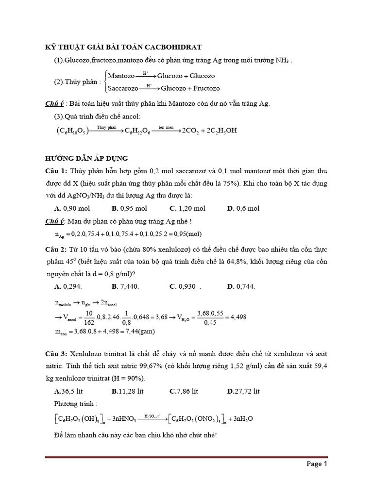 9.BT Cacbohidrat | PDF