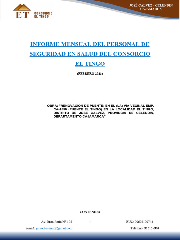Informe de Salud | PDF | Lavado de manos | Salud pública