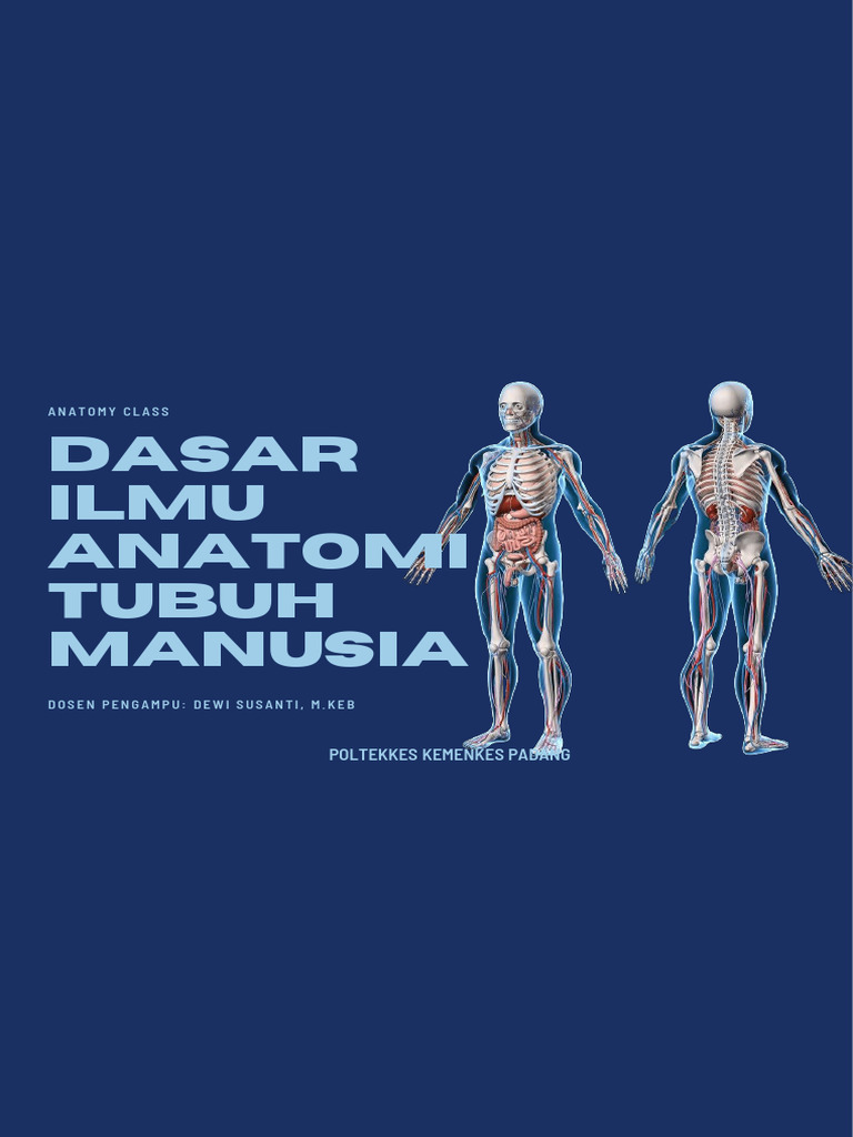 Dasar Ilmu Anatomi Tubuh Manusia Print Ini Pdf