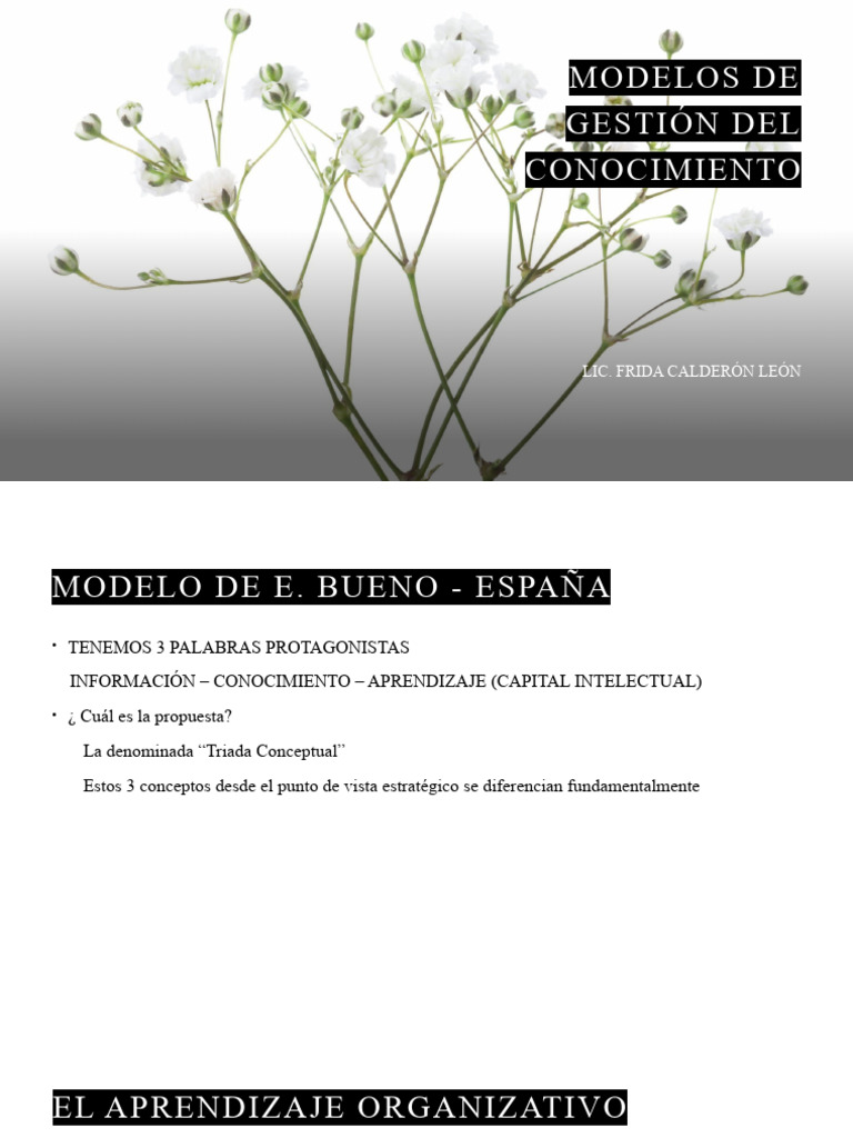 Modelos de Gestion Del Conocimiento 4ta Clase | Descargar gratis PDF | Conocimiento | Aprendizaje