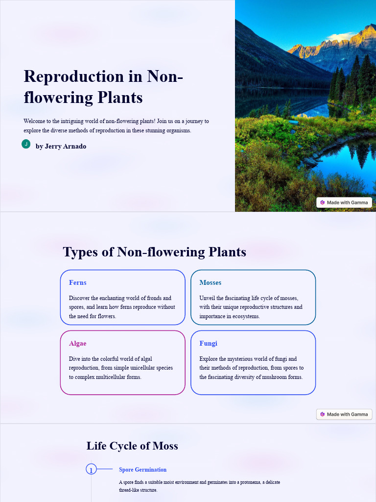 Reproduction in Non Flowering Plants | PDF | Sexual Reproduction | Spore