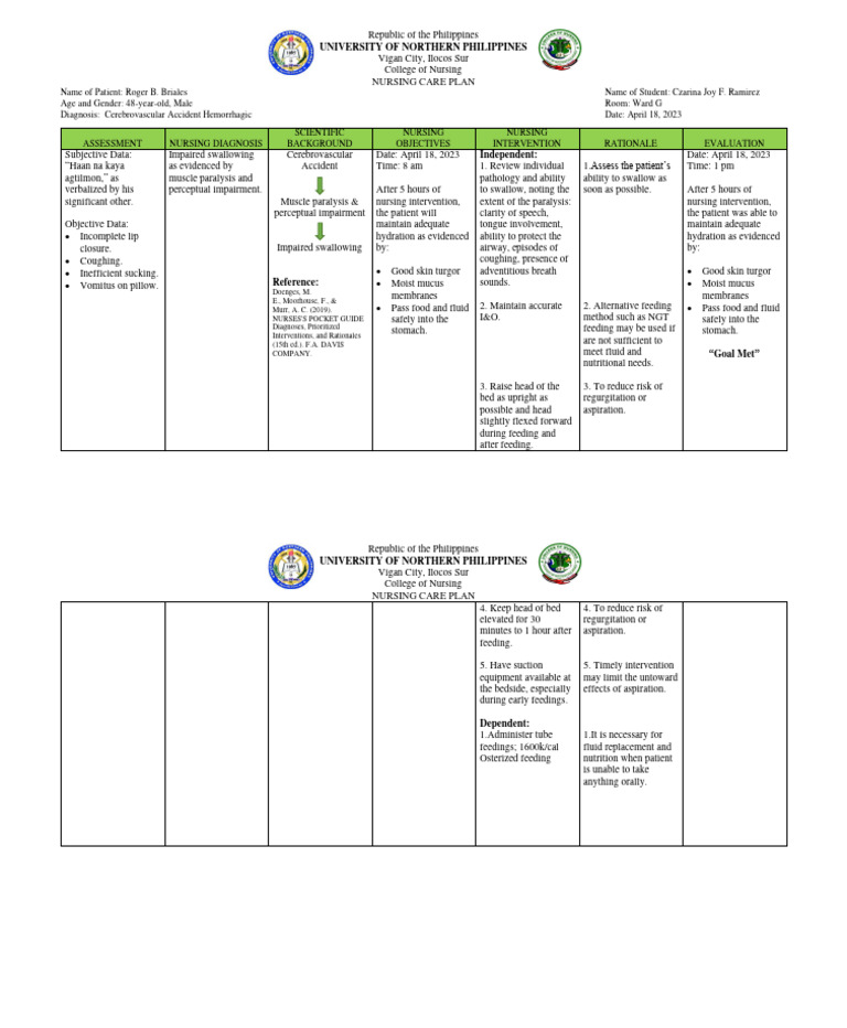 Nursing Care Plan | Download Free PDF | Nursing | Health Sciences