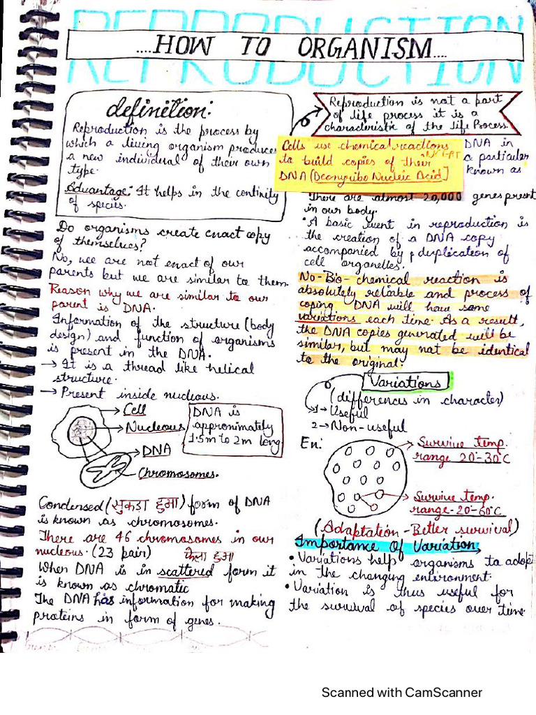 How To Organisms Reproduce by Kriti Di | PDF