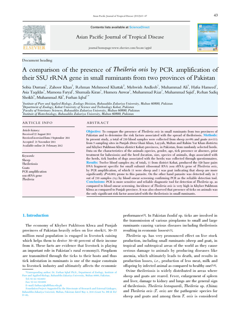 Durrani2012 Theileria Ovis Pdf Polymerase Chain Reaction Dna Sequencing