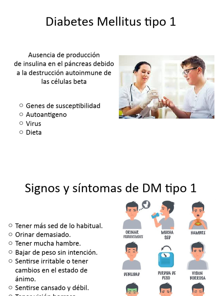 Diabetes Mellitus tipo 1 | PDF | Diabetes | Insulina