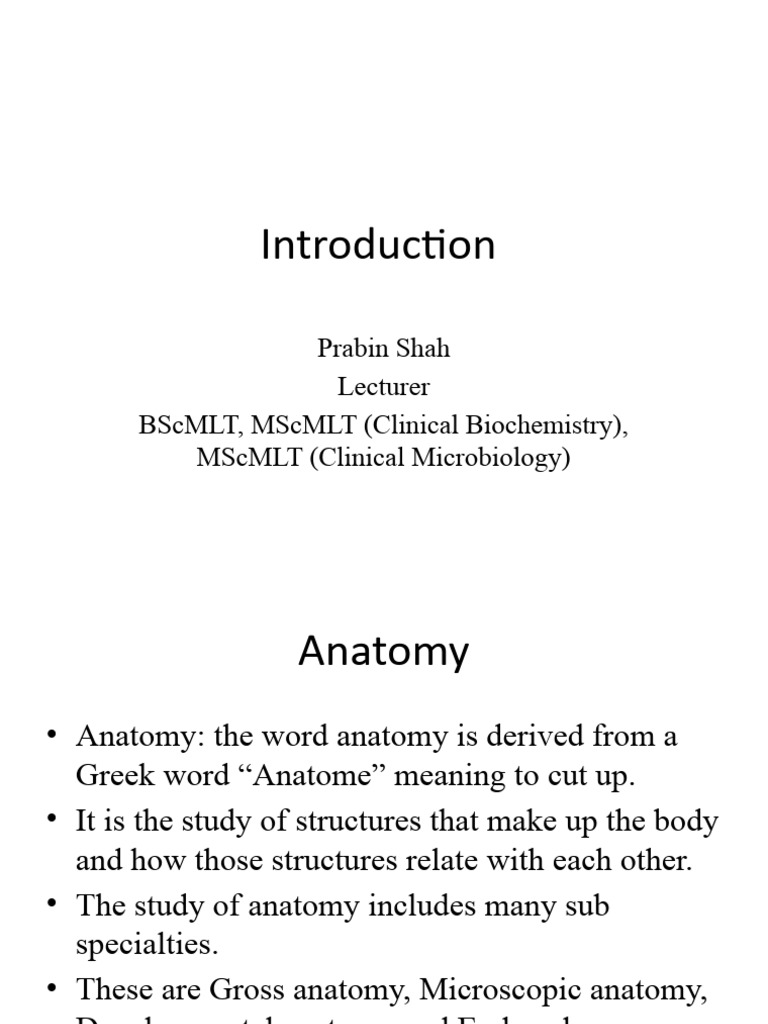 Anatomy Introduction | PDF | Vertebra | Endoplasmic Reticulum