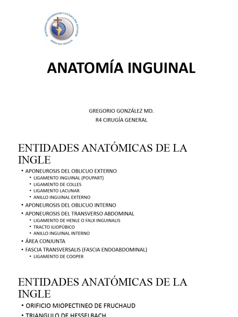 Hernia Inguinal Anatomía | PDF | Surgery