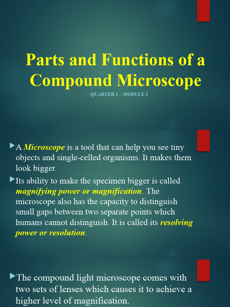 Parts and Functions of a Compound Microscope | PDF | Optics ...