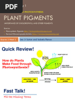 Biology Practical Pigments RF Values | PDF