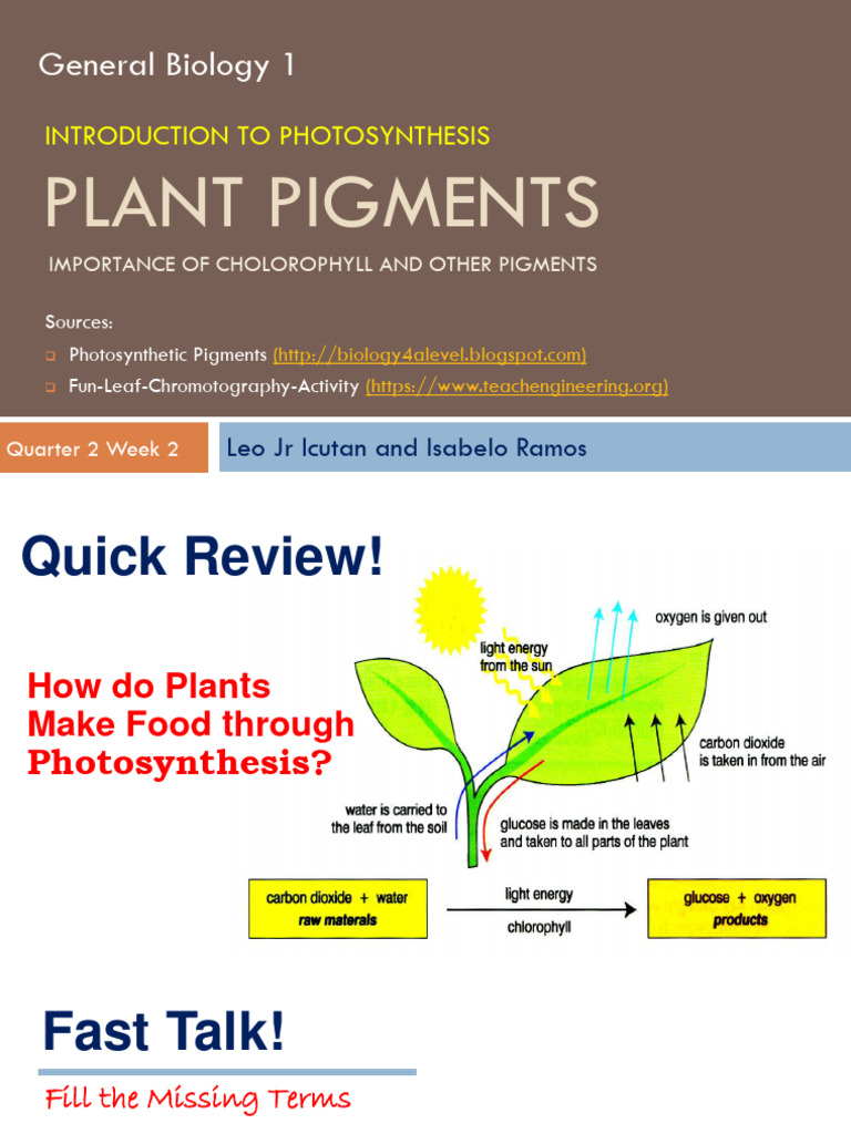 Plant Pigments Gen Bio 1 Q2 Week 2 by Sir Leo JR and Sir Bil Ramos | PDF | Photosynthesis ...