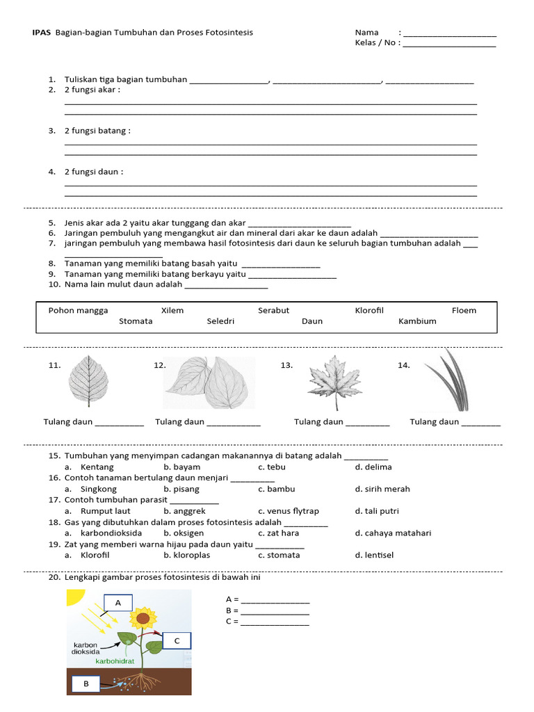 Soal Latihan PH IPAS | PDF