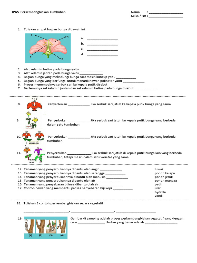 Soal Latihan PH 2 IPAS | PDF