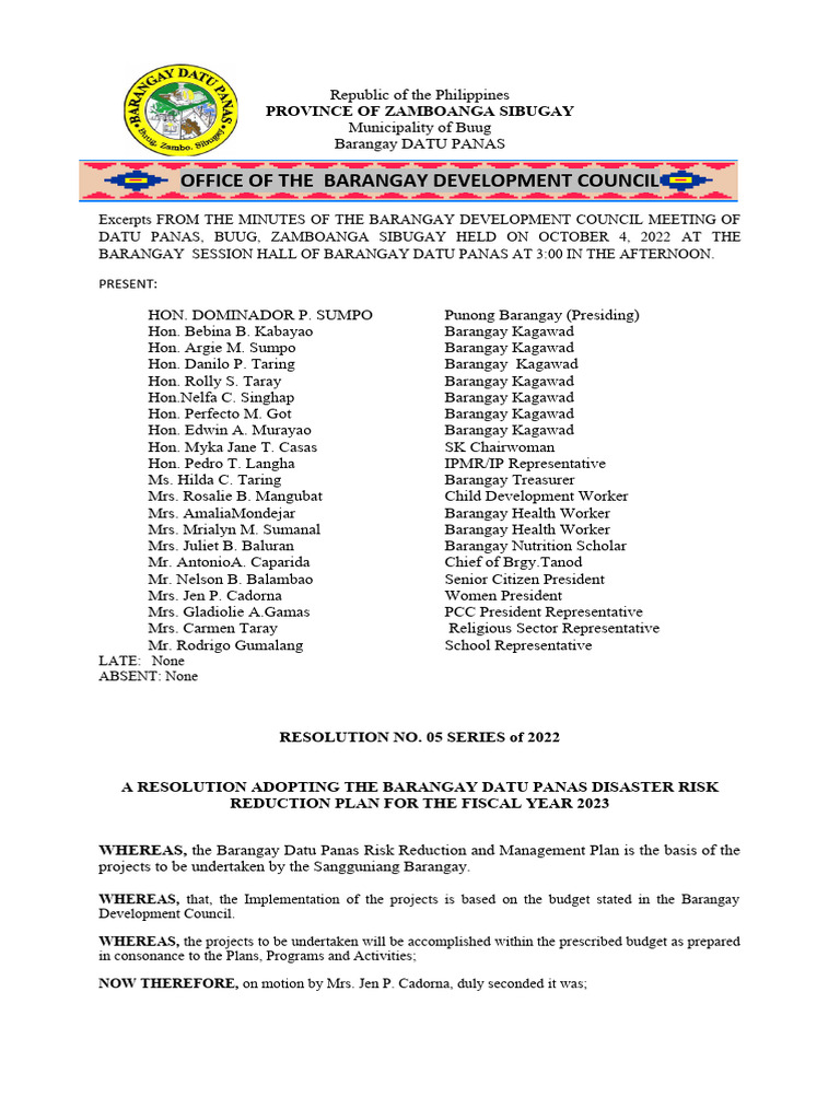 BDC For BDRRM Plan 2021 | PDF