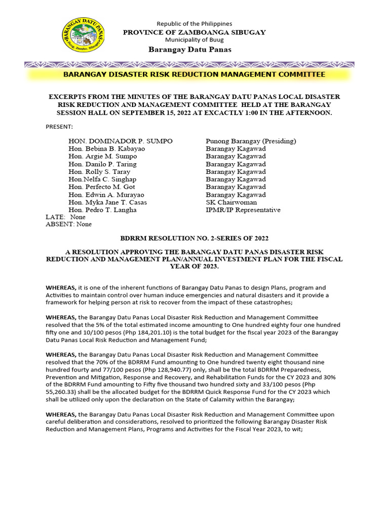 Bdrrm Plan 2022 | PDF | Emergency Management | Disaster Risk Reduction