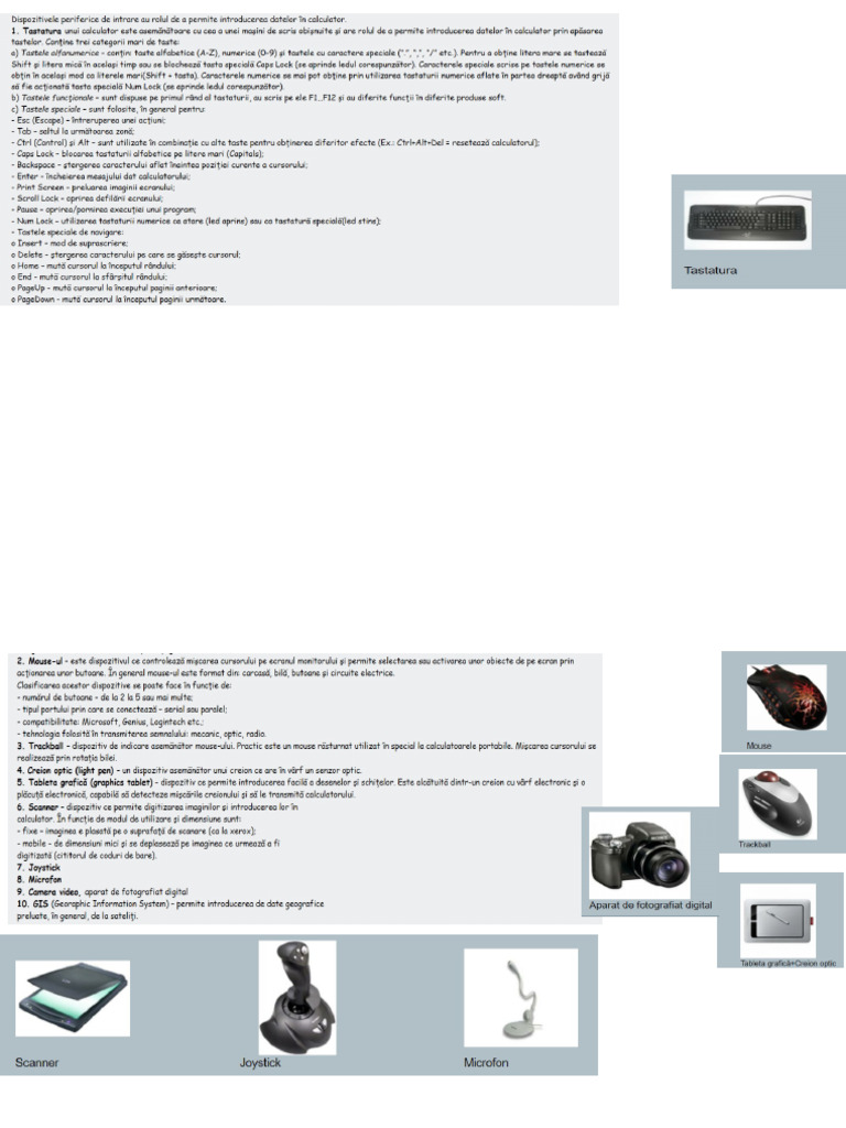 Dispozitive Periferice de Intrare | PDF