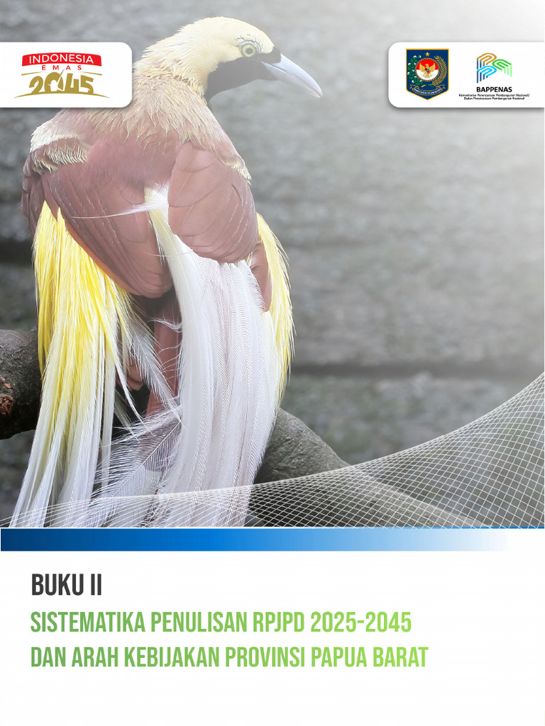 Prov Papua Barat - Buku 2 - SEB Keselasaran RPJPN-RPJPD | PDF