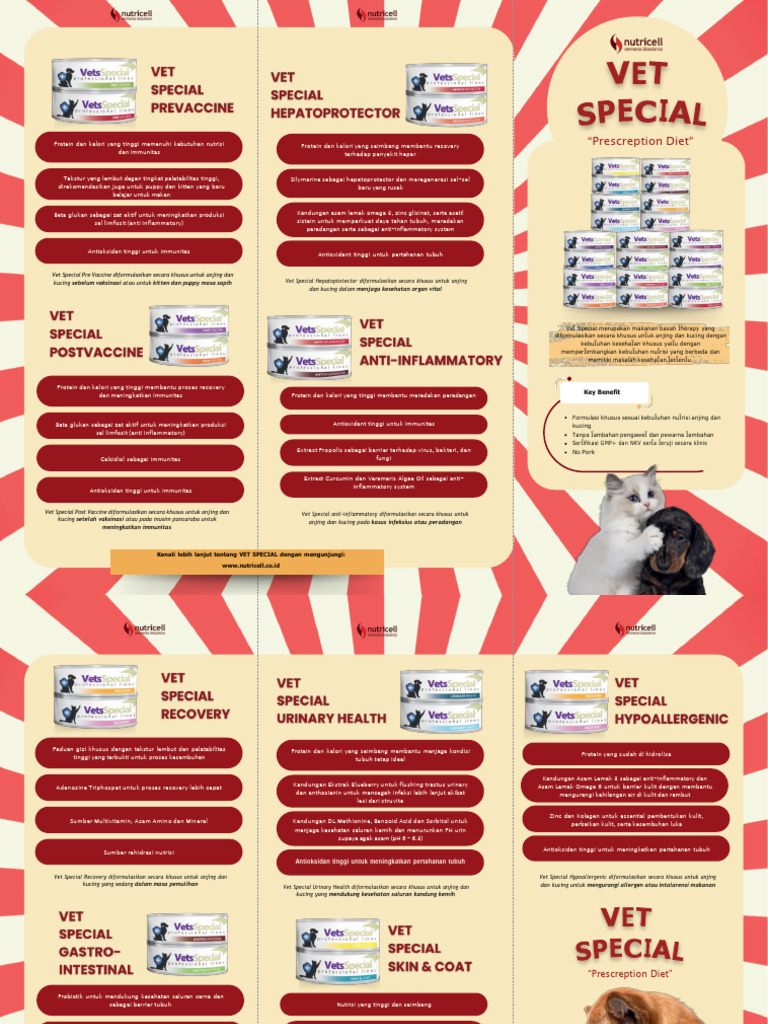 Vet Special Brochure (Trifold) | PDF