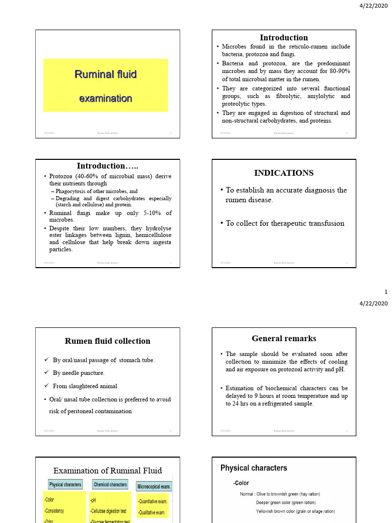 Rumen Fluid Analysis | PDF