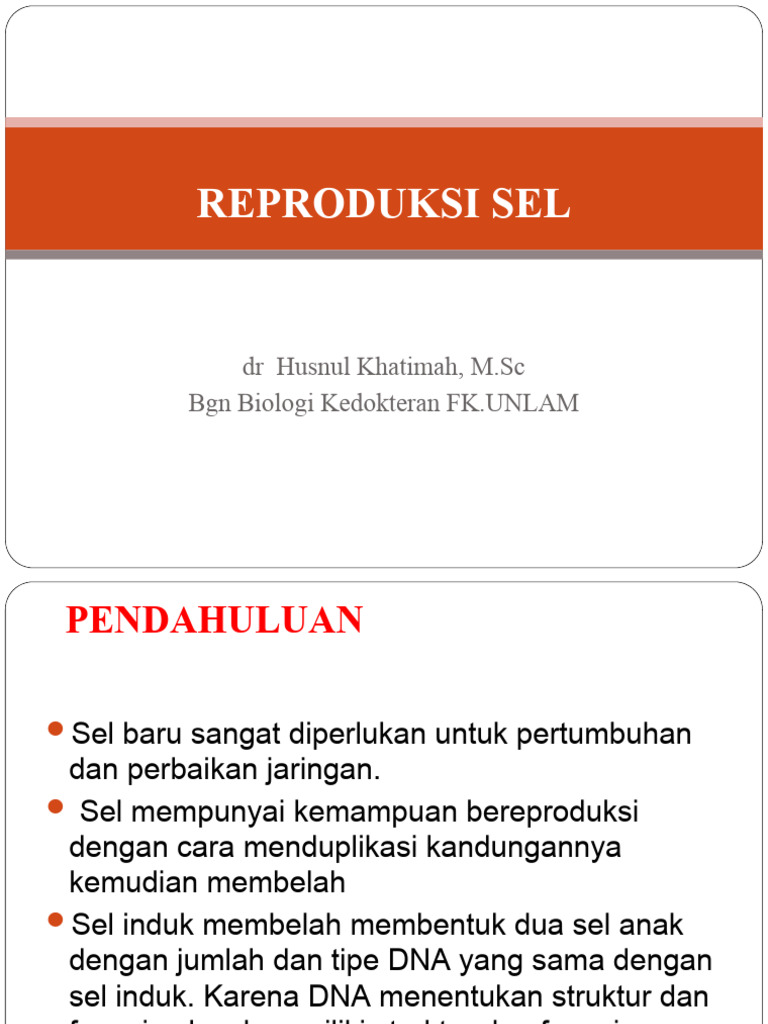 Reproduksi Sel Dan Gametogenesis | PDF
