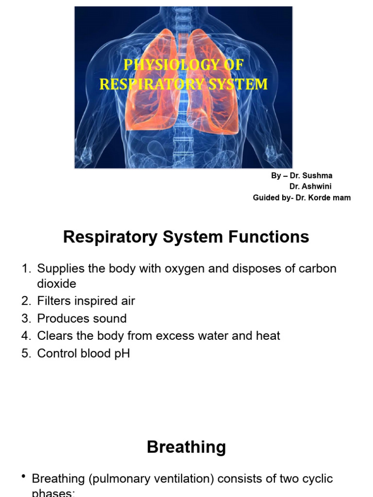 Respi Physiology | PDF | Hemoglobin | Lung
