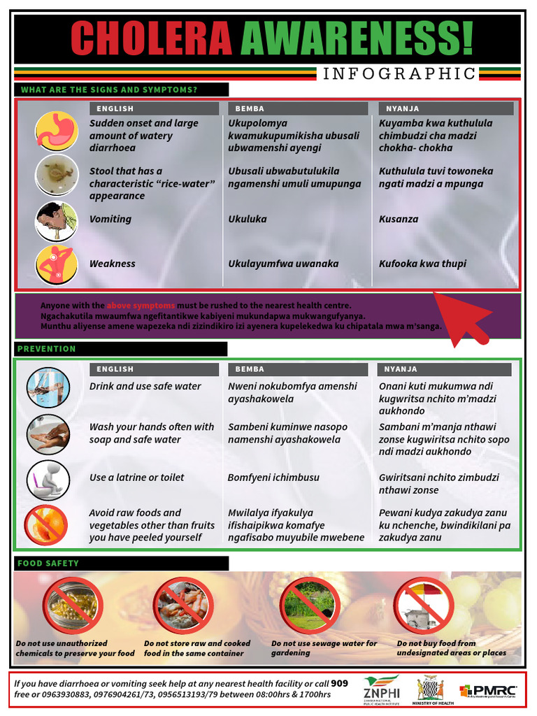 Cholera Outbreak Infographic | PDF
