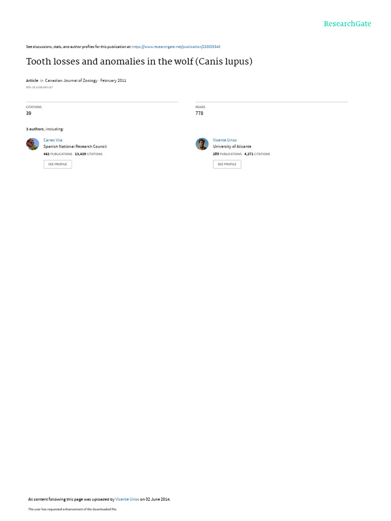 Tooth Losses and Anomalies in The Wolf Canis Lupus | PDF | Tooth | Canidae