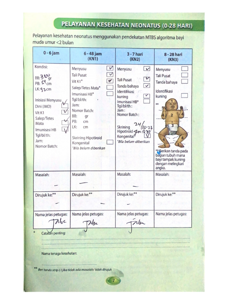 Pelayanan Kesehatan Neonatus (0-28 Hari) | PDF