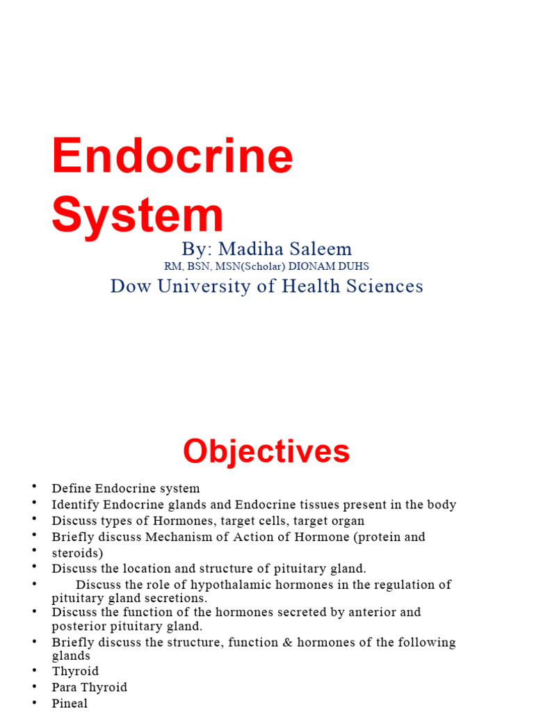 Endocrine System Overview | PDF | Endocrine System | Adrenal Gland