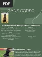 Rol11 2023 Styczen Egzamin Zawodowy Praktyczny | PDF