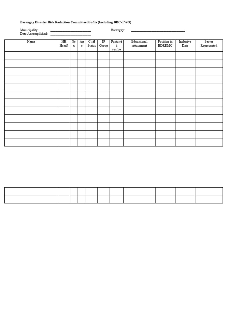 BDRRMC Profile Template | PDF
