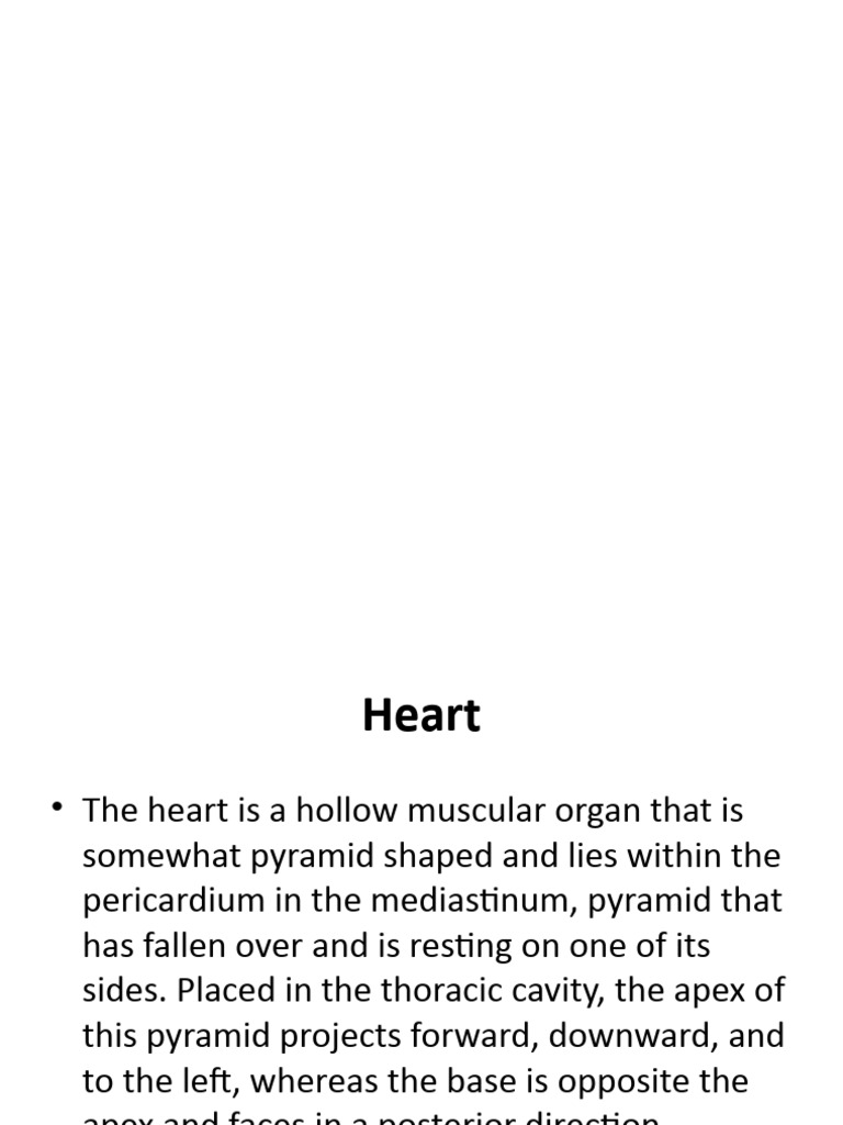 Lecture 4 - Heart | PDF | Coronary Circulation | Heart Valve