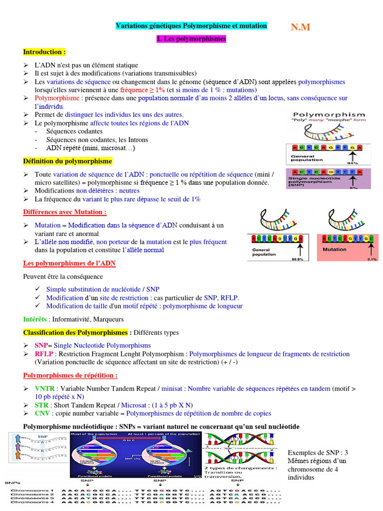 Polymorphisme et mutations génétiques | PDF | Mutation | Gène