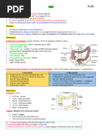 Anatomie chirurgicale du colon humain | PDF | Gros intestin | Anatomie