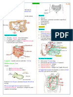 Anatomie du Mésentère et Jéjuno-Iléon | PDF | Anatomie | Abdomen