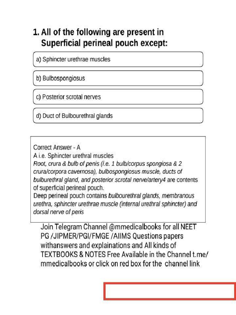 Anatomy 2011-2021 | PDF | Vertebral Column | Neck