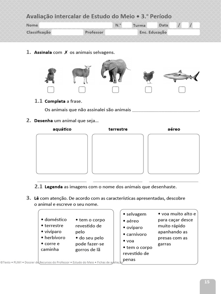 Avaliação Intercalar de Estudo Do Meio - 3.º Período | PDF