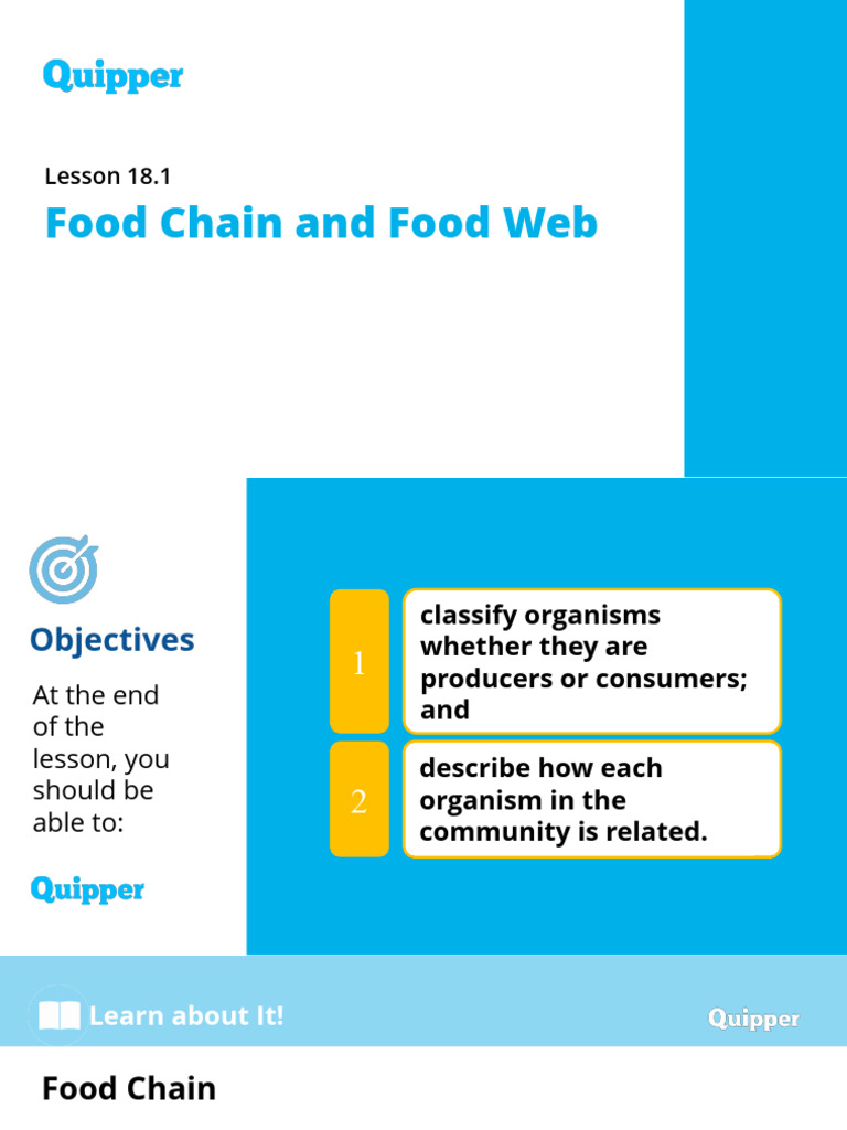 Science 8 18.1 Food Chain and Food Web | PDF | Food Web | Biogeochemistry