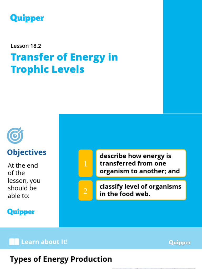Science 8 18.2 Transfer of Energy in Trophic Levels | PDF | Biomass ...