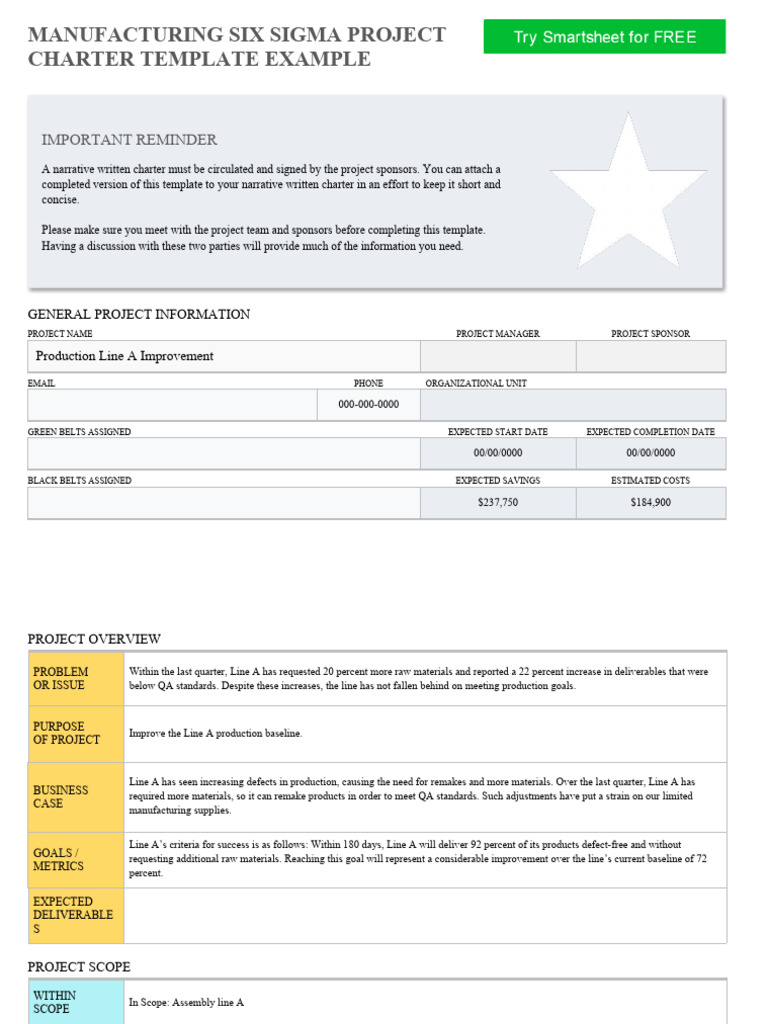 IC Manufacturing Six Sigma Project Charter Example 11480 WORD | PDF ...