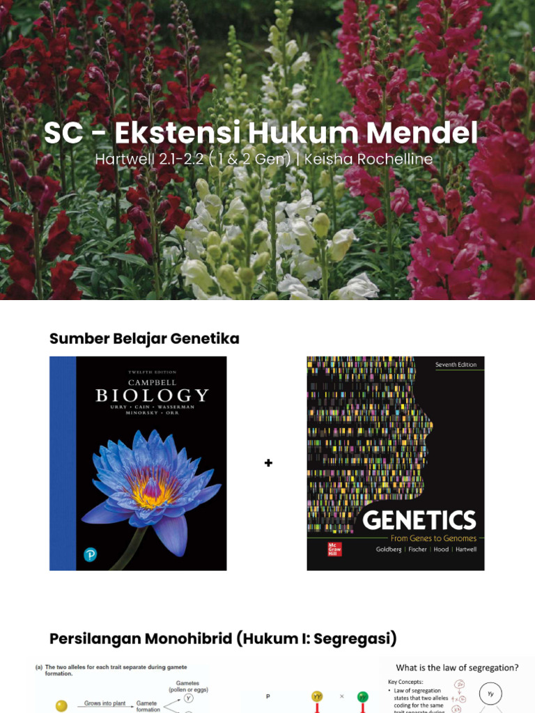 Ekstensi Mendel-2 Compressed | PDF | Dominance (Genetics) | Gene