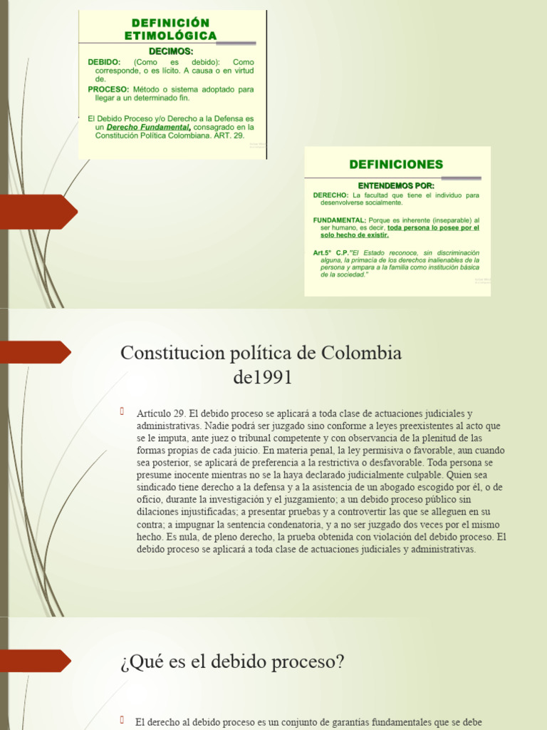 Presentación el debido proceso | PDF | Debido al proceso | Justicia