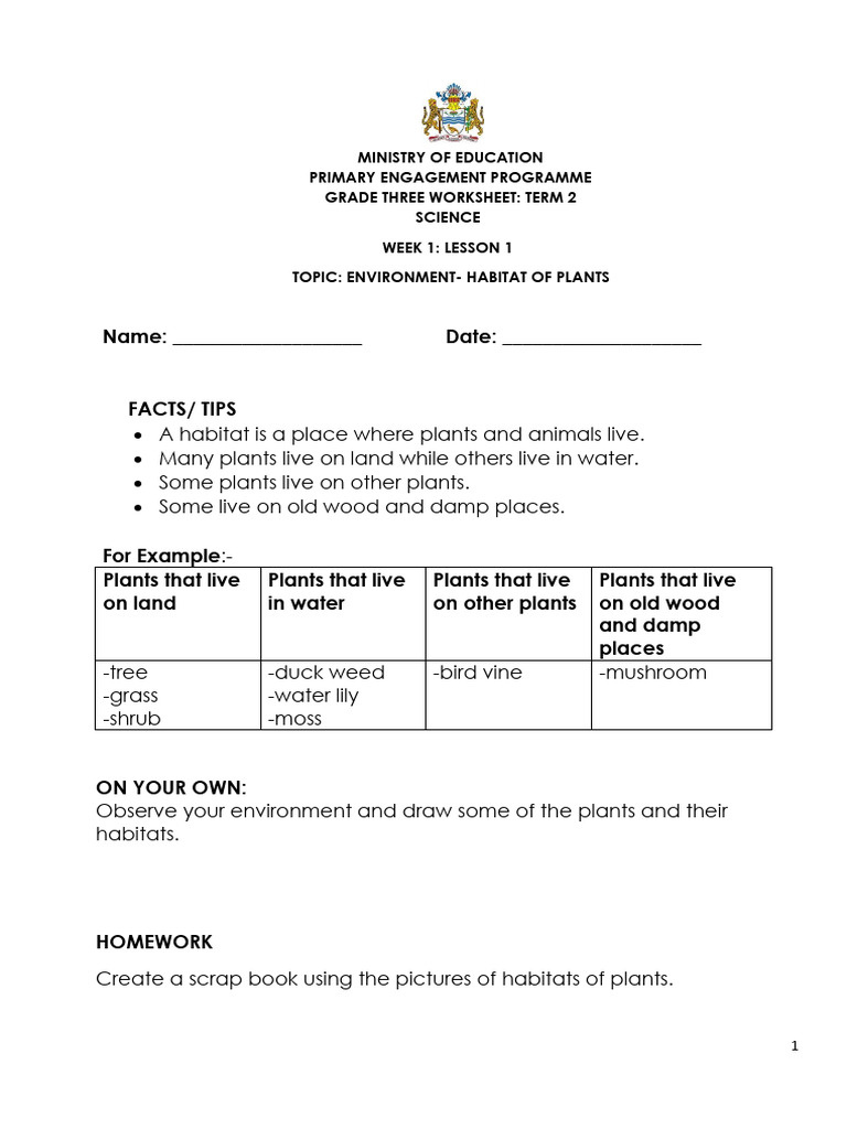 Grade 3 Science Weeks 1 4 Worksheets Term 2 Pdf Predation Plants