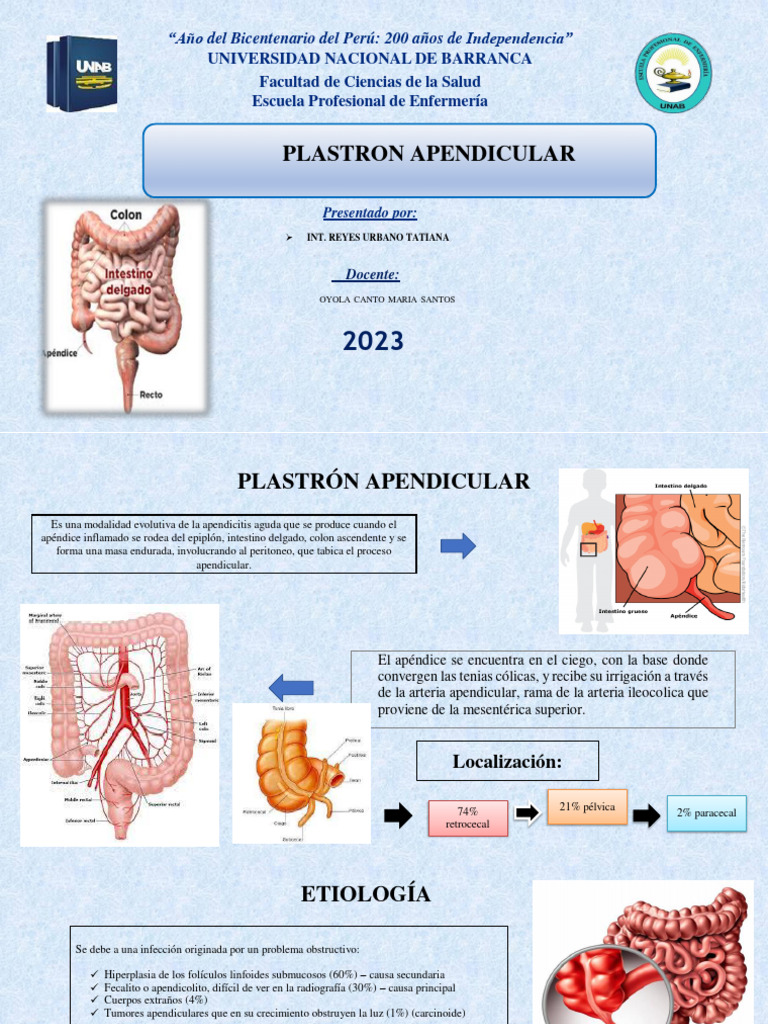 Plastrón Apendicular: Diagnóstico y Manejo | PDF | Anatomía | Ciencias ...
