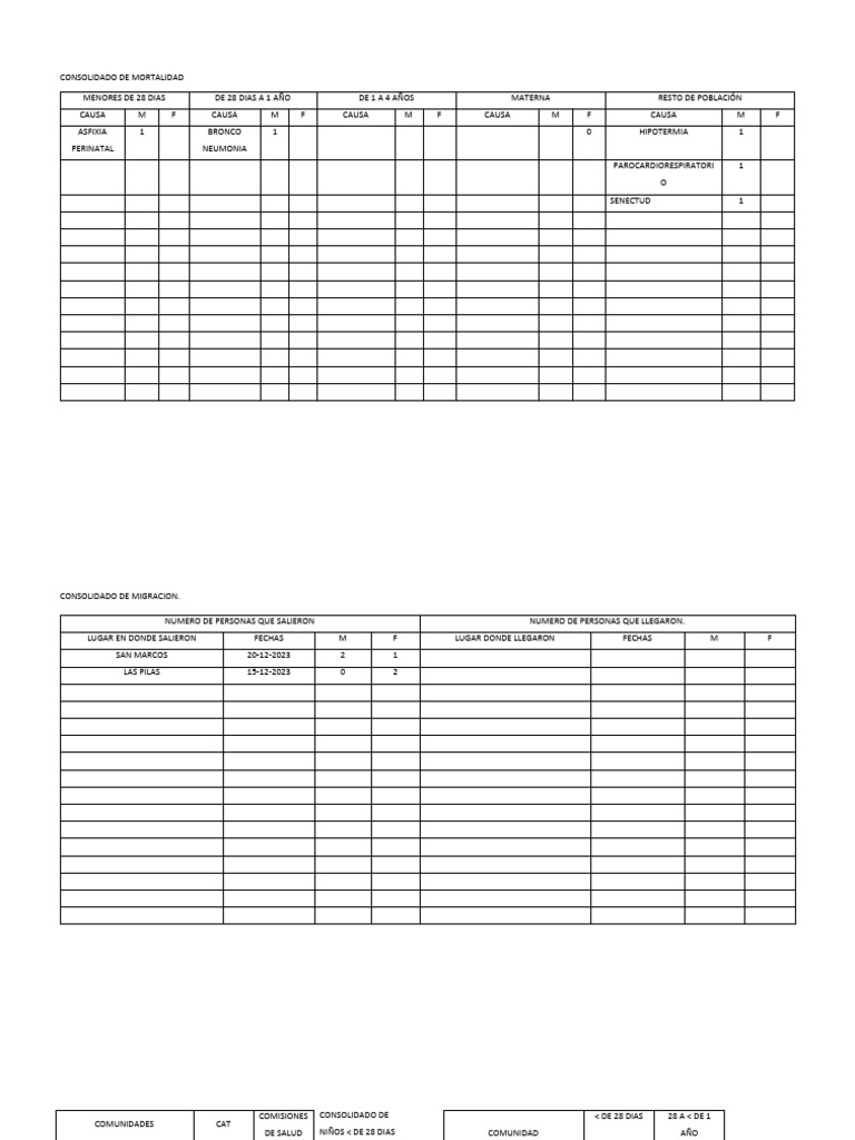 Formato para Consolidado. | PDF
