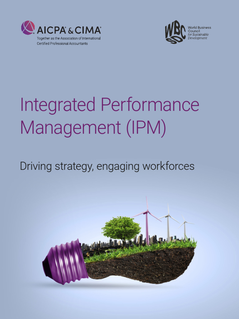 Integrated Performance Management | PDF