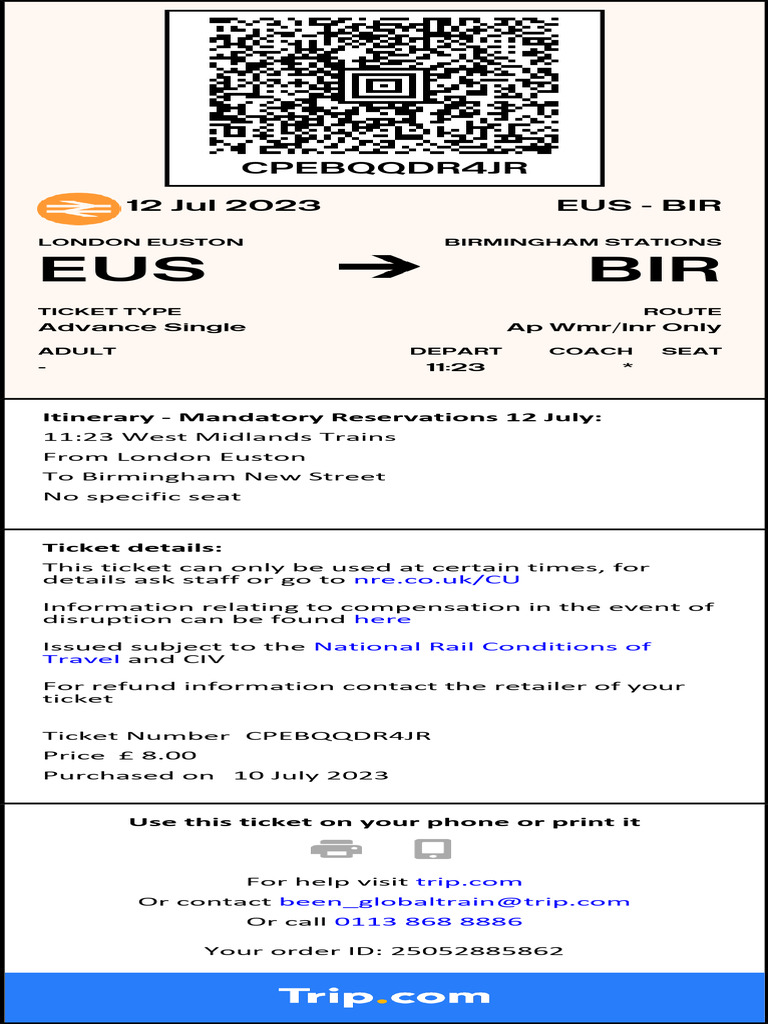 E Ticket | PDF