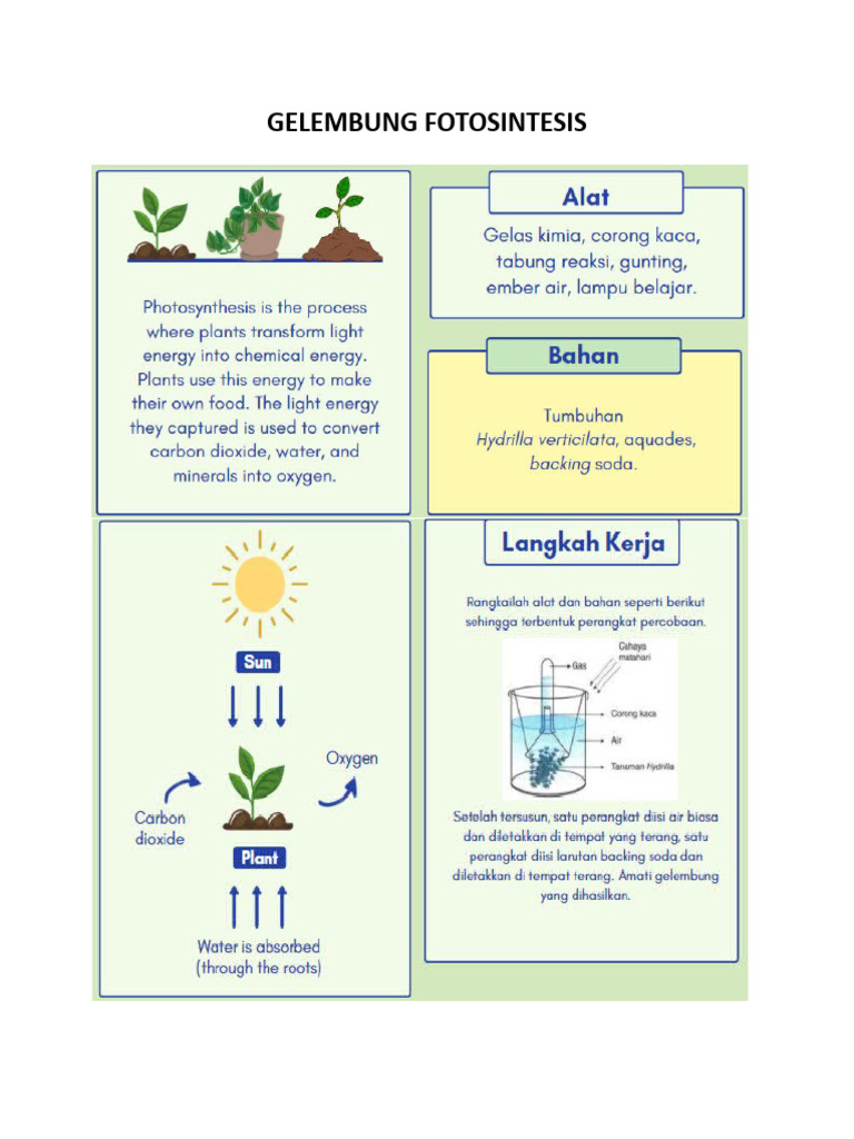 Rencana Kegiatan Kir 1 Semester | PDF