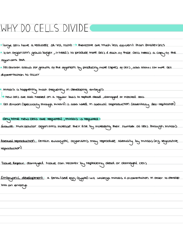 Cells Notes IB | PDF